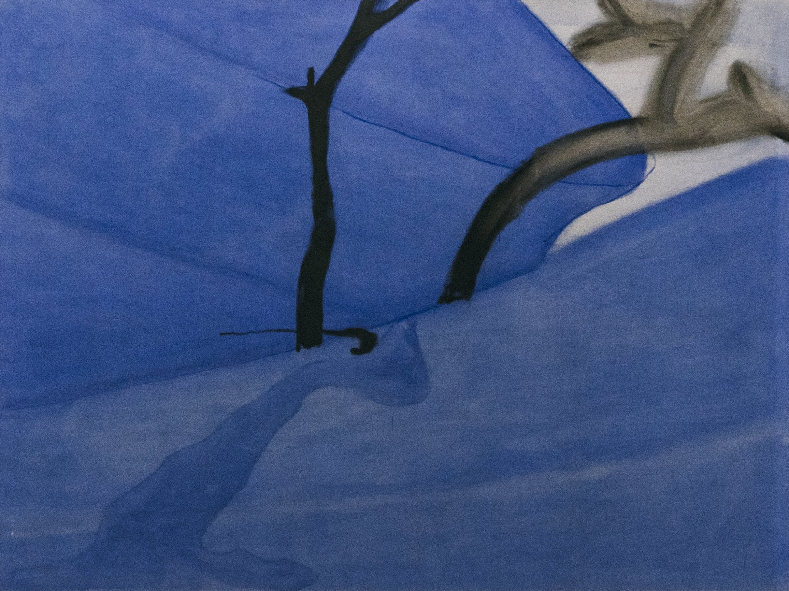 D Harding - Biennale of Sydney