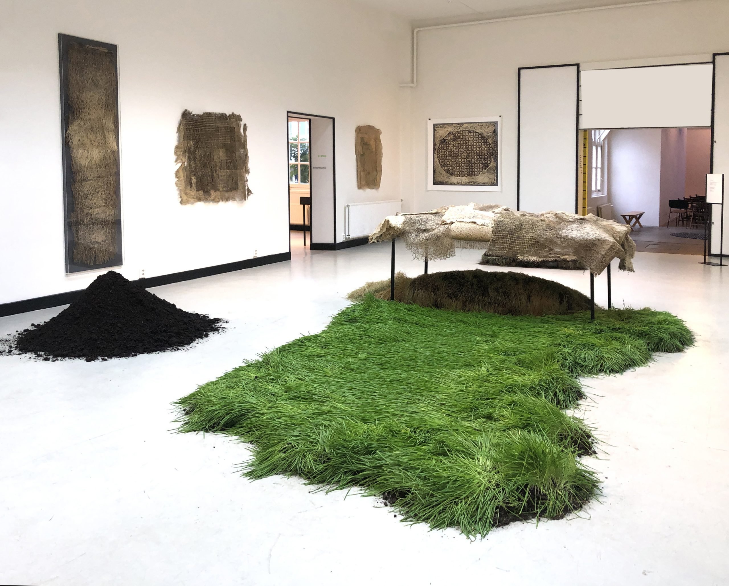 Diana Scherer - Biennale of Sydney