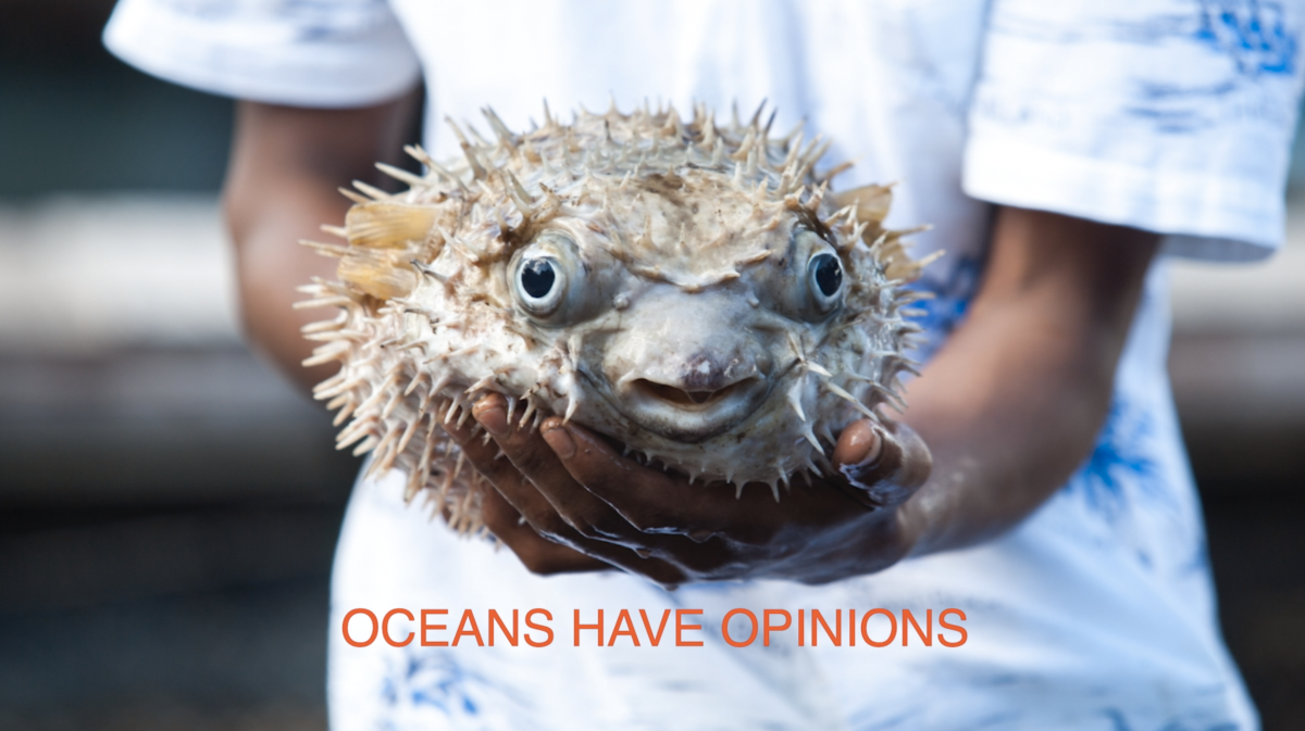 Will Benedict - Biennale of Sydney