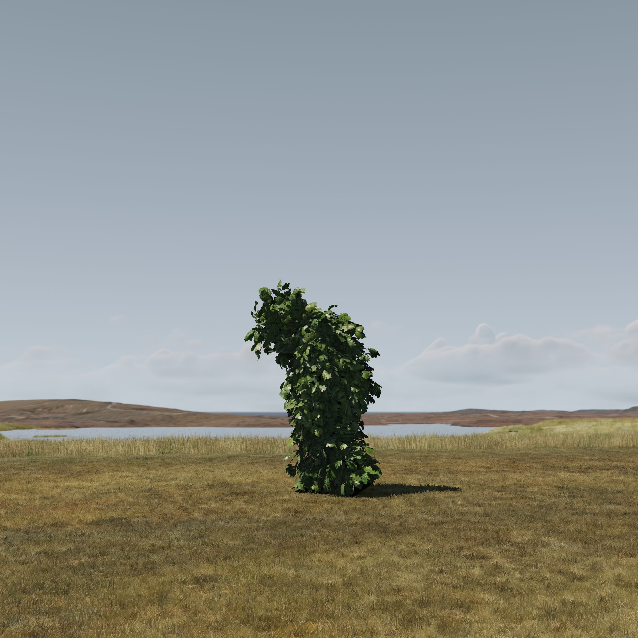 John Gerrard - Biennale of Sydney