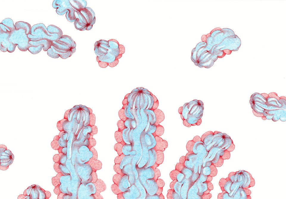 Robert Gabris - Biennale of Sydney