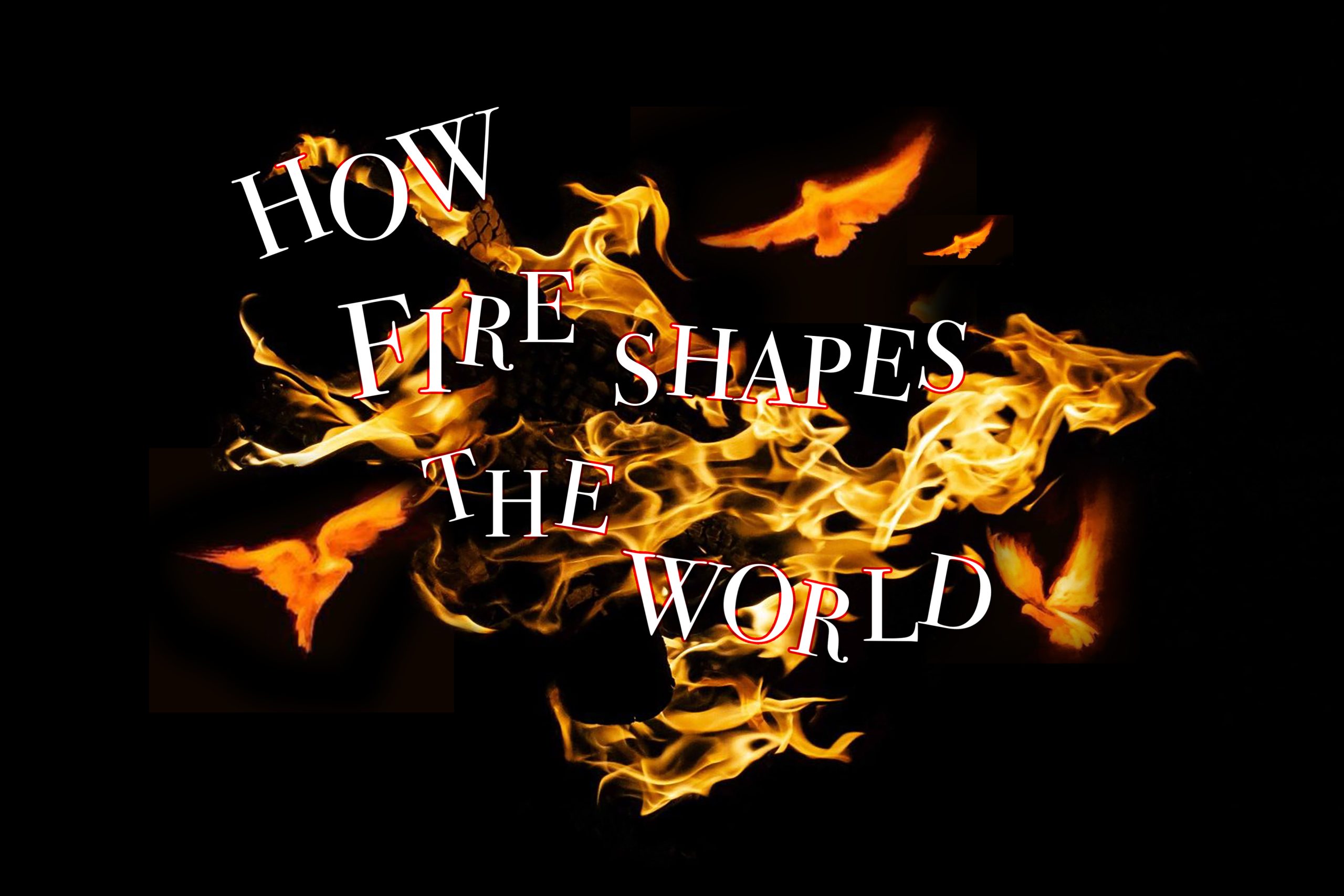 How Fire Shapes The World - Youth Movement Workshop with Victoria Hunt ...